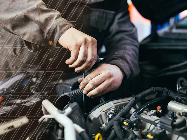 Auto technician store
